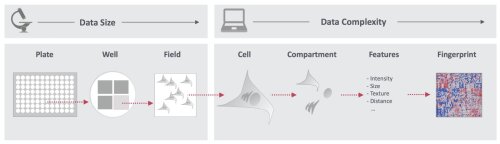 Microscopic imaging technology | Laboratory of Cell Biology and ...